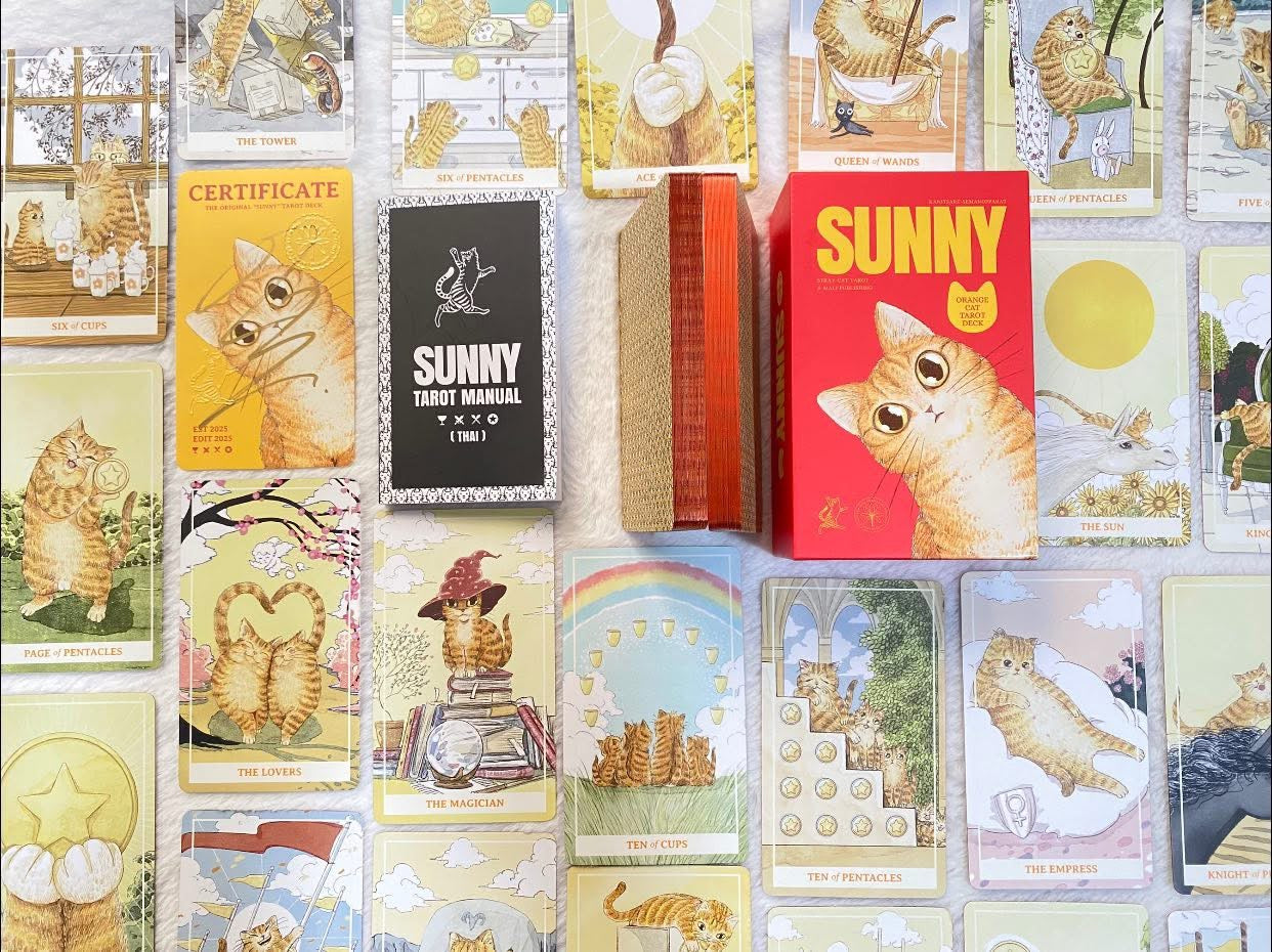 Sunny Orange Cat Tarot Deck 78 Cards Cute Ginger Cat Tarot – Wheel of Life